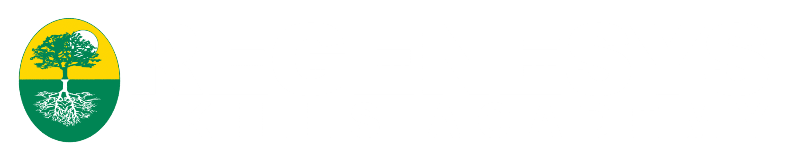 Skills Academy – Skills Academy